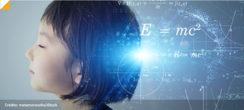 Quais são os princípios da neurociência para ensinar e aprender melhor ...